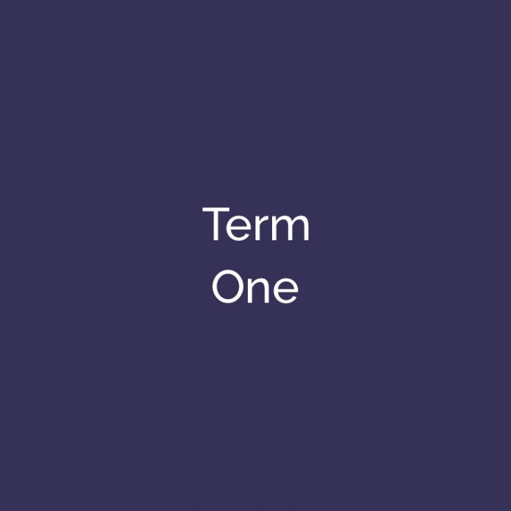 TERM ONE - Modern Language School